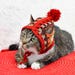 Granny Square Cat Hat Crochet Pattern, Cat Hat Crochet Pattern ...