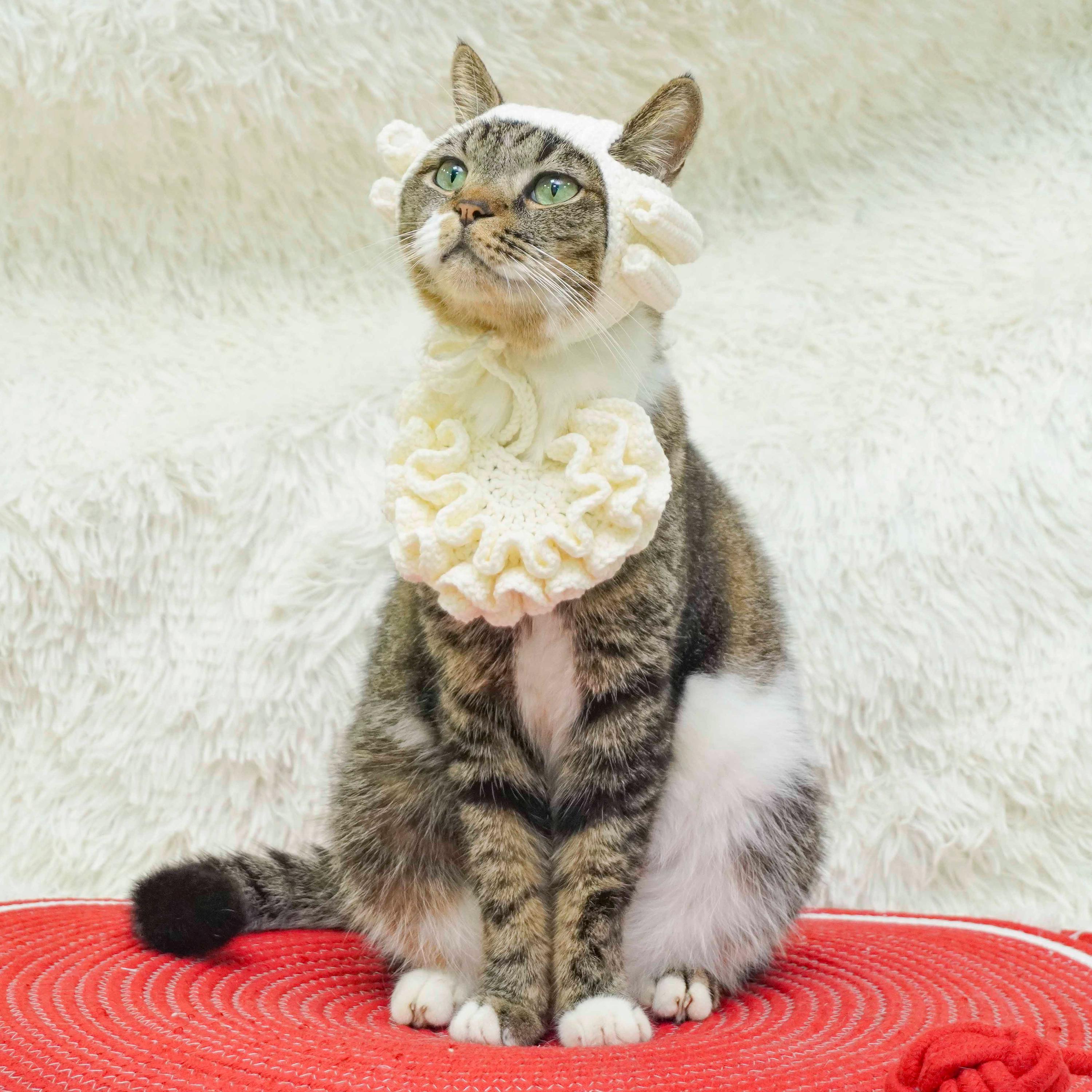 Conductor Outfit Crochet Pattern, Cat Hat Crochet Pattern, Cat Costume ...
