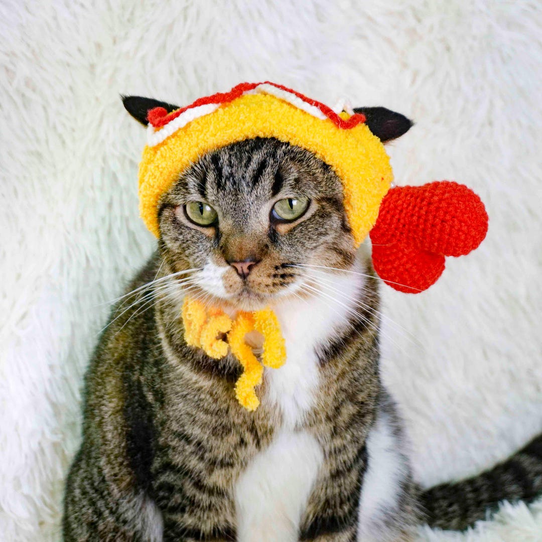 Dried Shrimp Cat Hat Crochet Pattern, Cat Hat Crochet Pattern, Cat ...