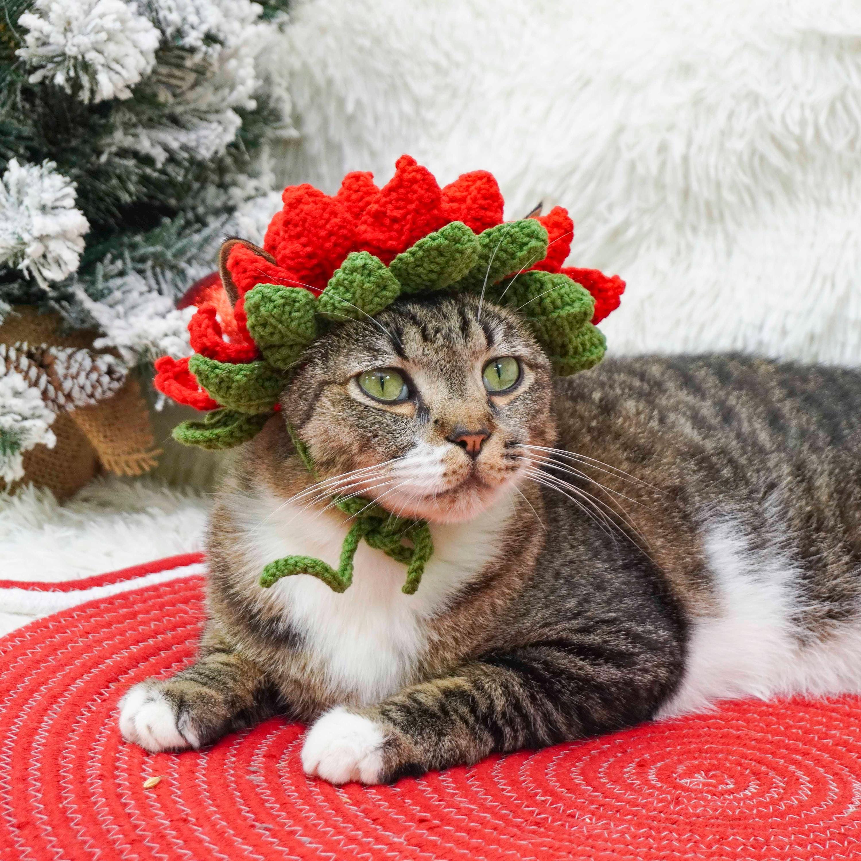 Poinsettia Cat Hat Crochet Pattern, Cat Hat Crochet Pattern, Flower Cat ...