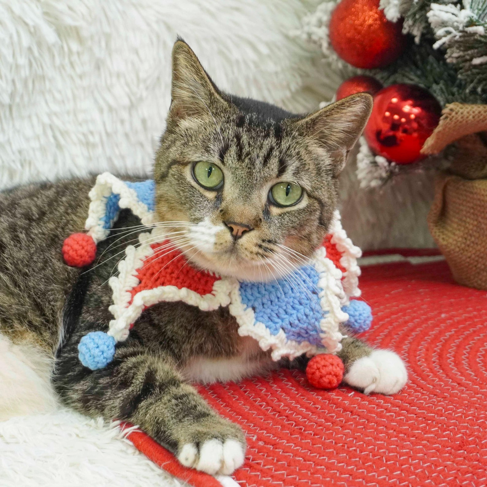 Cat Bib Crochet Pattern, Collar Bib Crochet Pattern, Cat Costume Bib ...