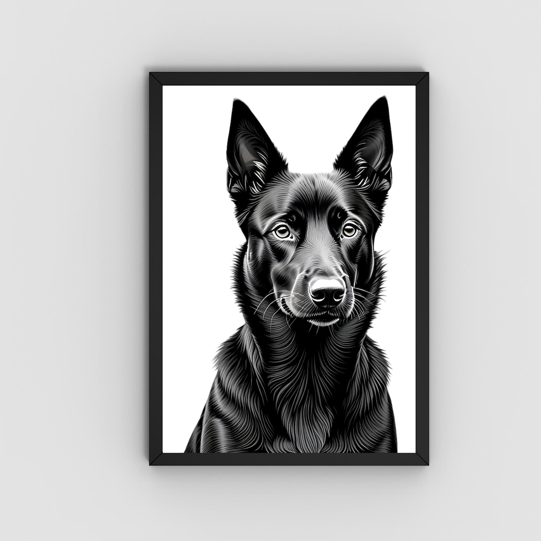 Australian Kelpie Illustration Print – Black and White Digital Dog Art ...
