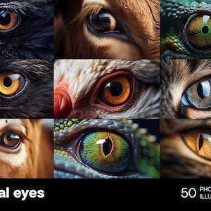Animal Eyes: 50 Photorealistic Digital Art Images (digital Download) - Etsy