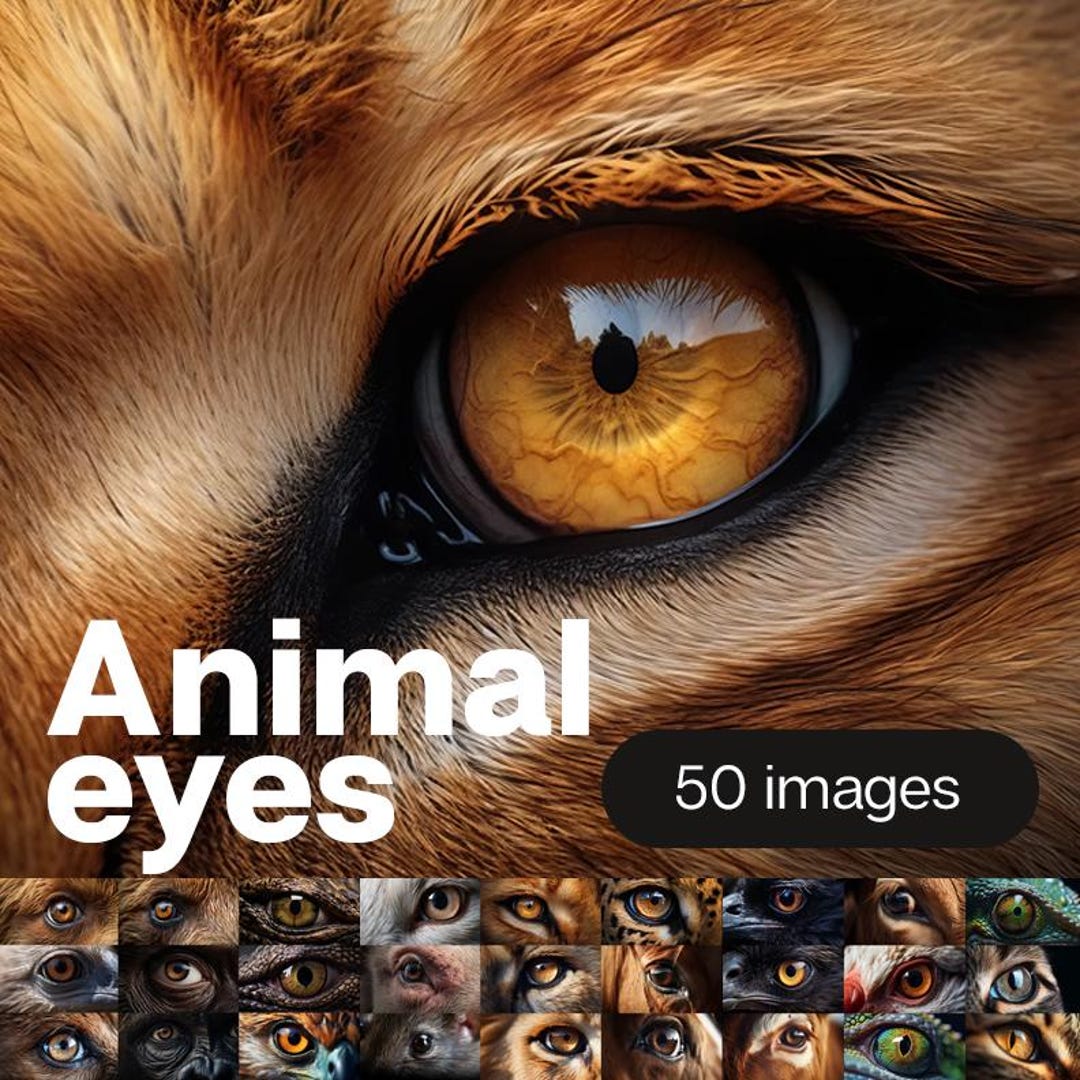 Animal Eyes - 50 Images. A Set of 50 Animal Eyes Photorealistic Images ...