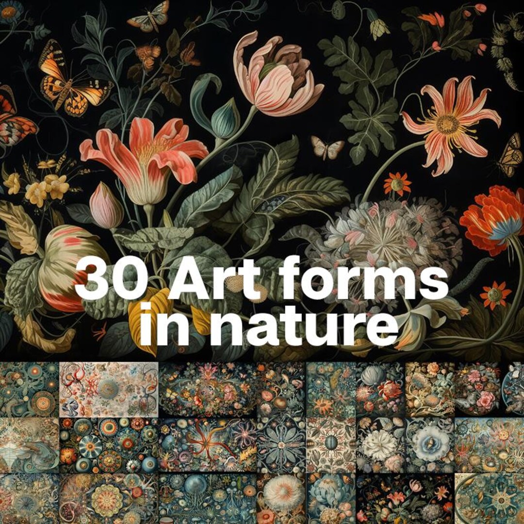 30 Art Forms in Nature Illustrations. Vintage Floral Backgrounds ...