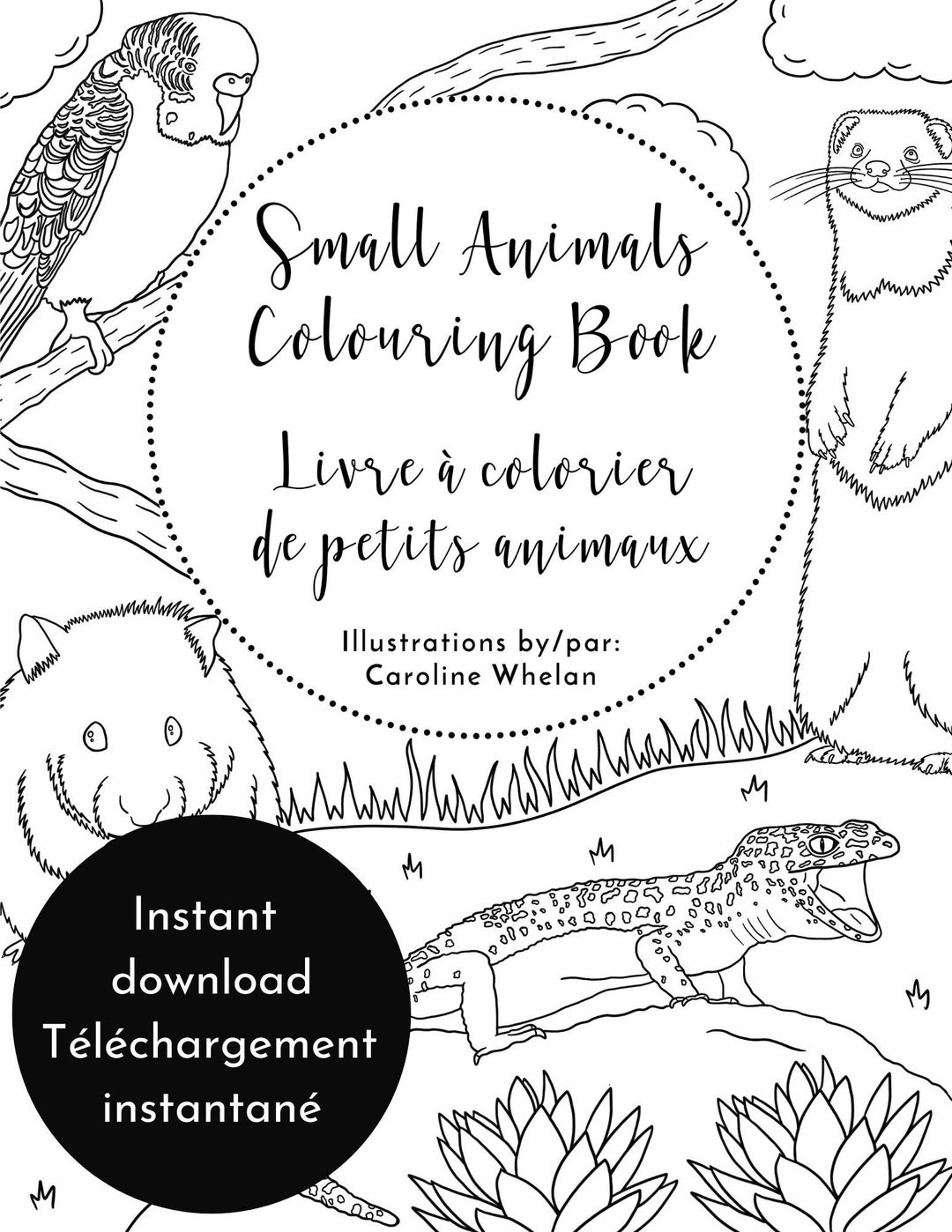 Small Animals Colouring Book, Downloadable Colouring Book, Printable ...