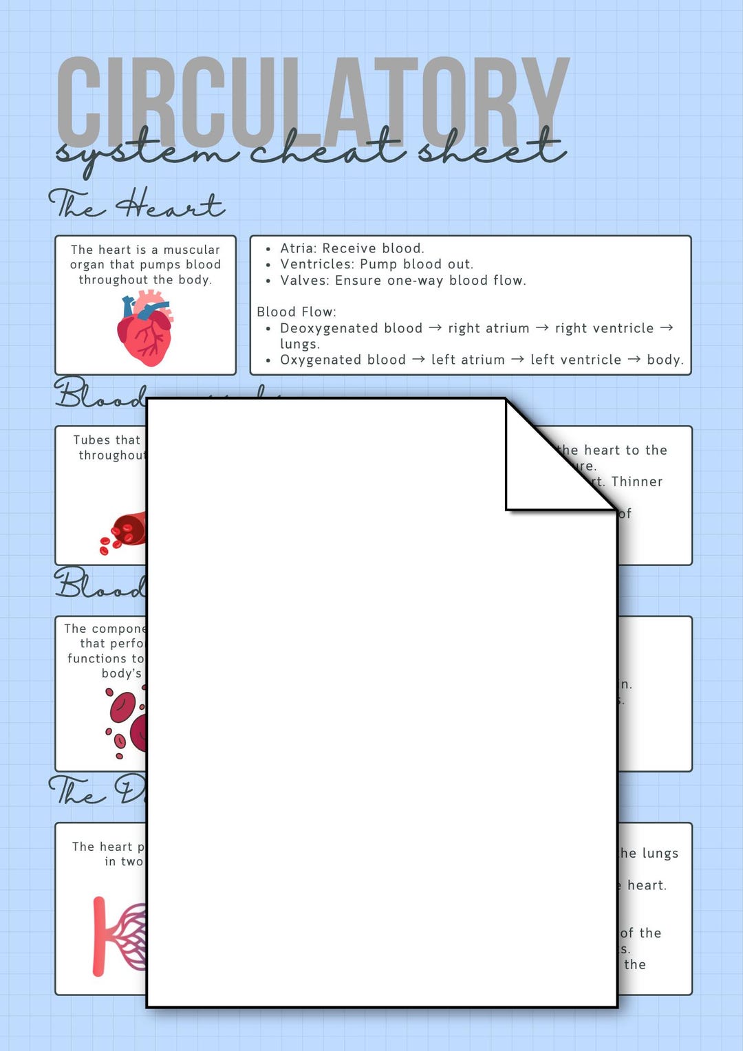 GCSE Biology Circulatory System Cheat Sheet | Printable Revision Guide ...
