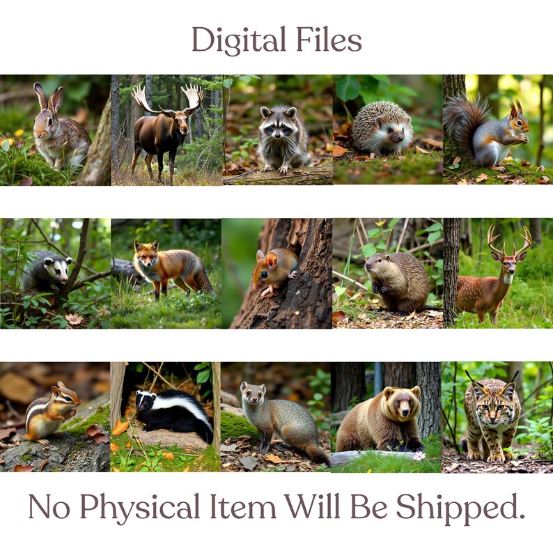 Gallery Wall Bundle Woodland Wall Décor Forest Animal Prints - Etsy UK