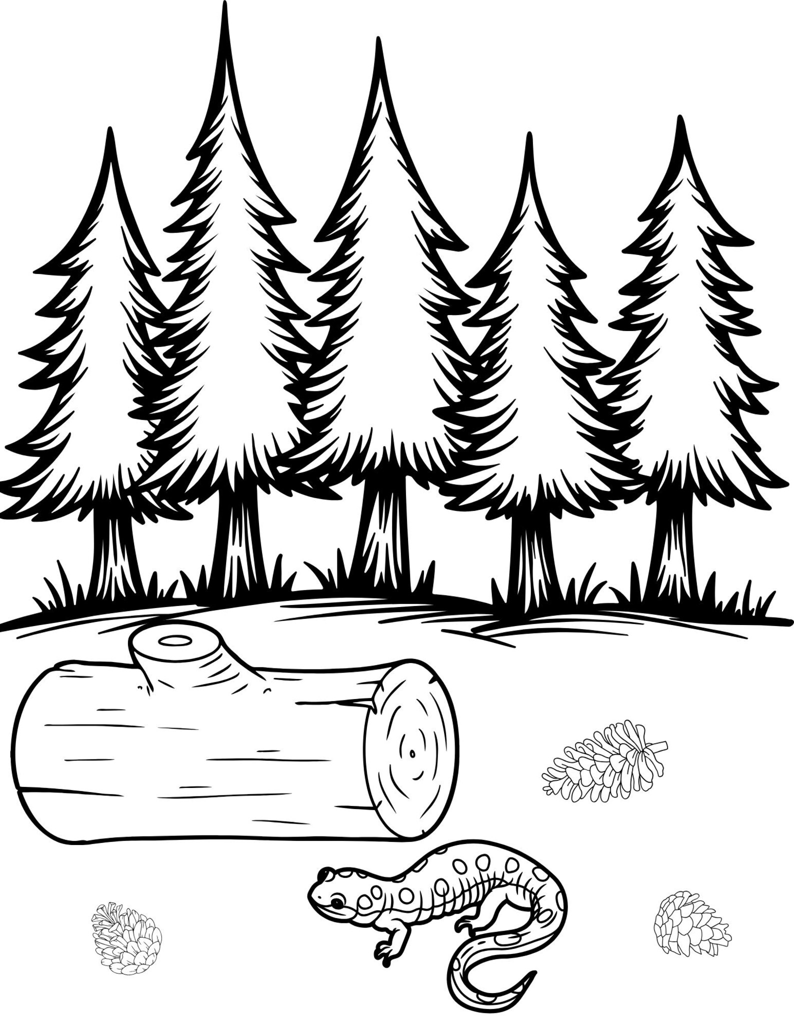 70 Page Printable Pet Coloring Book Bundle for Kids! - Etsy