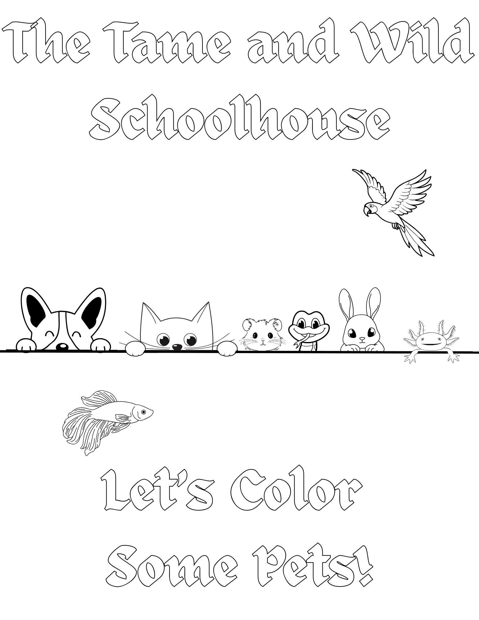 70 Page Printable Pet Coloring Book Bundle for Kids! - Etsy