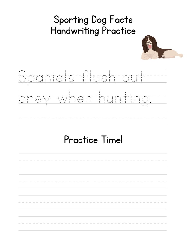 AKC Sporting Dog Breeds Coloring & Activity Book – 54 Pages | Dog Breed ...