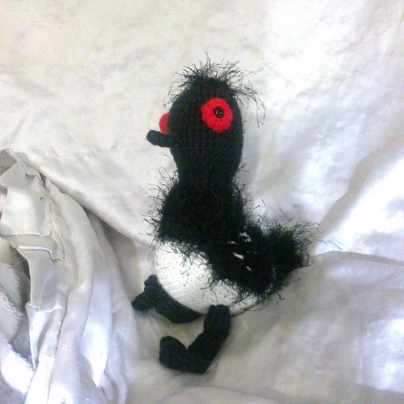 Finding Dory Becky - Etsy