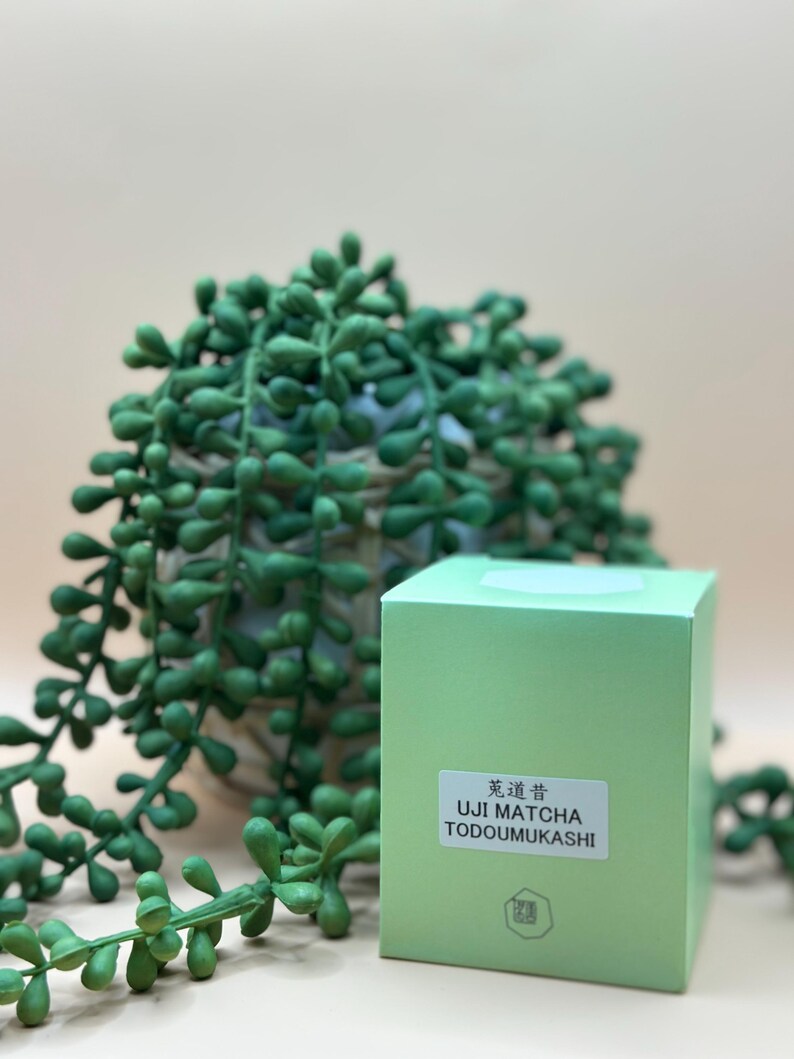 Horii Schimeien Matcha - Etsy