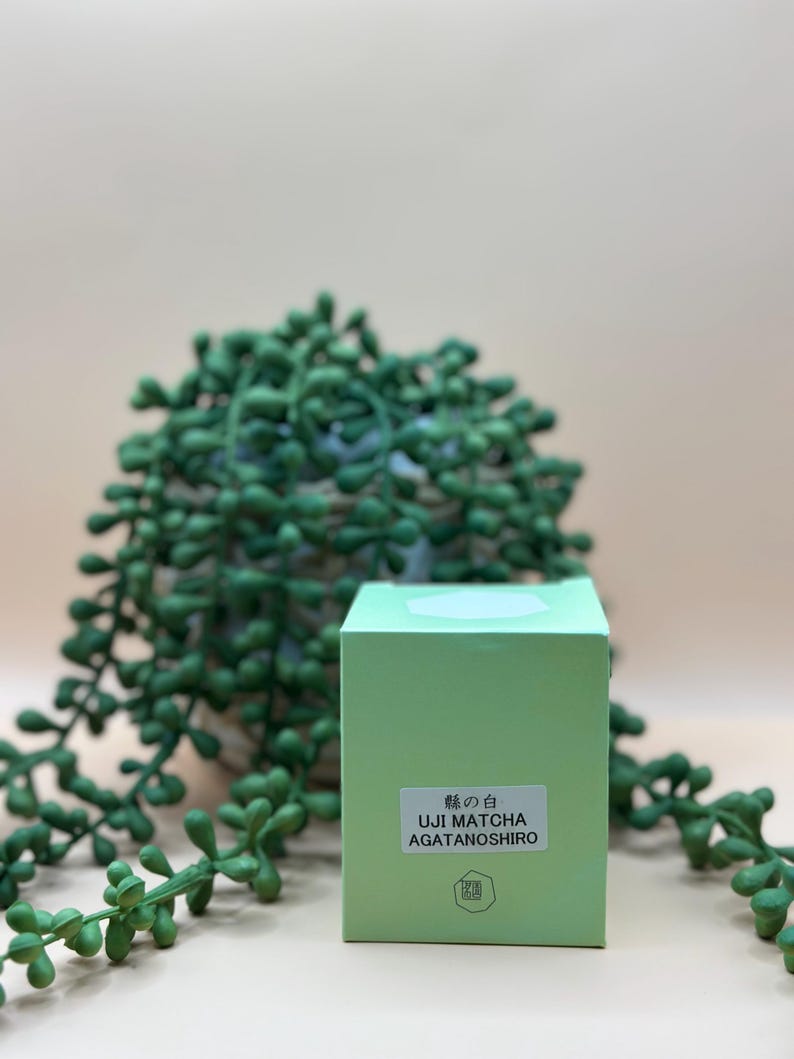 Horii Schimeien Matcha - Etsy