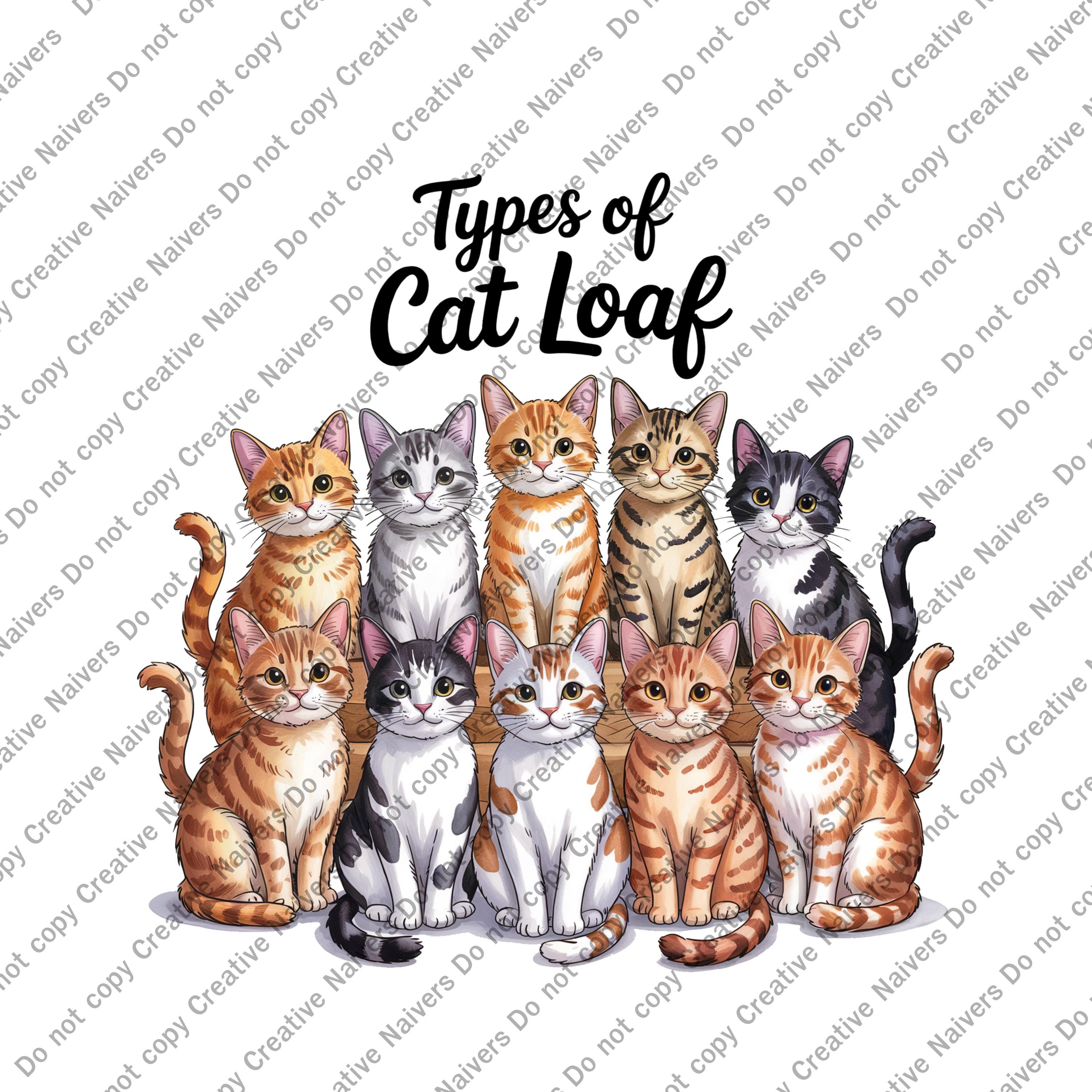 Types of Cat Loaf PNG | Funny Cat Collection Clipart | Cute Cat Loaf ...