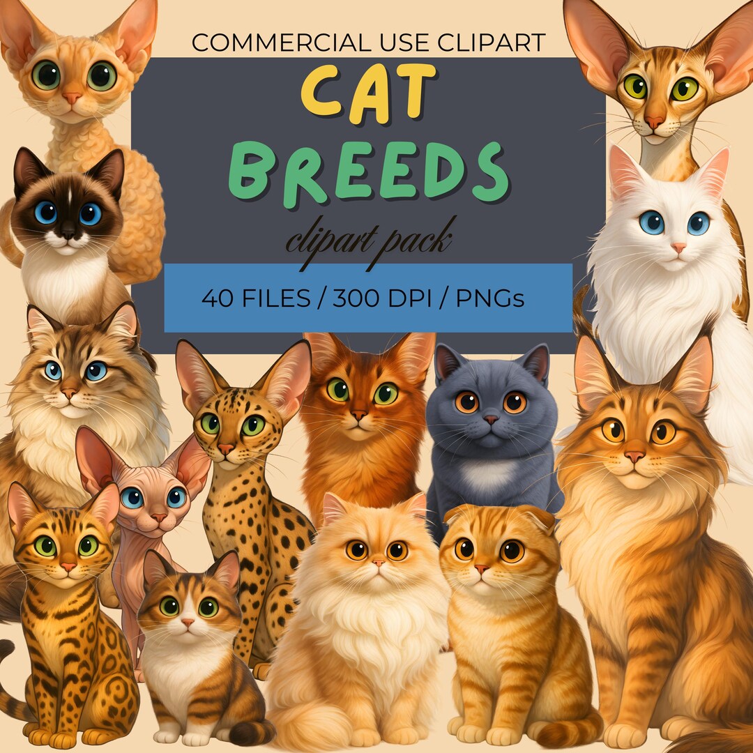 Cat Breeds Clipart | Pixar Style Cats PNG | Cartoon Cat Illustrations ...