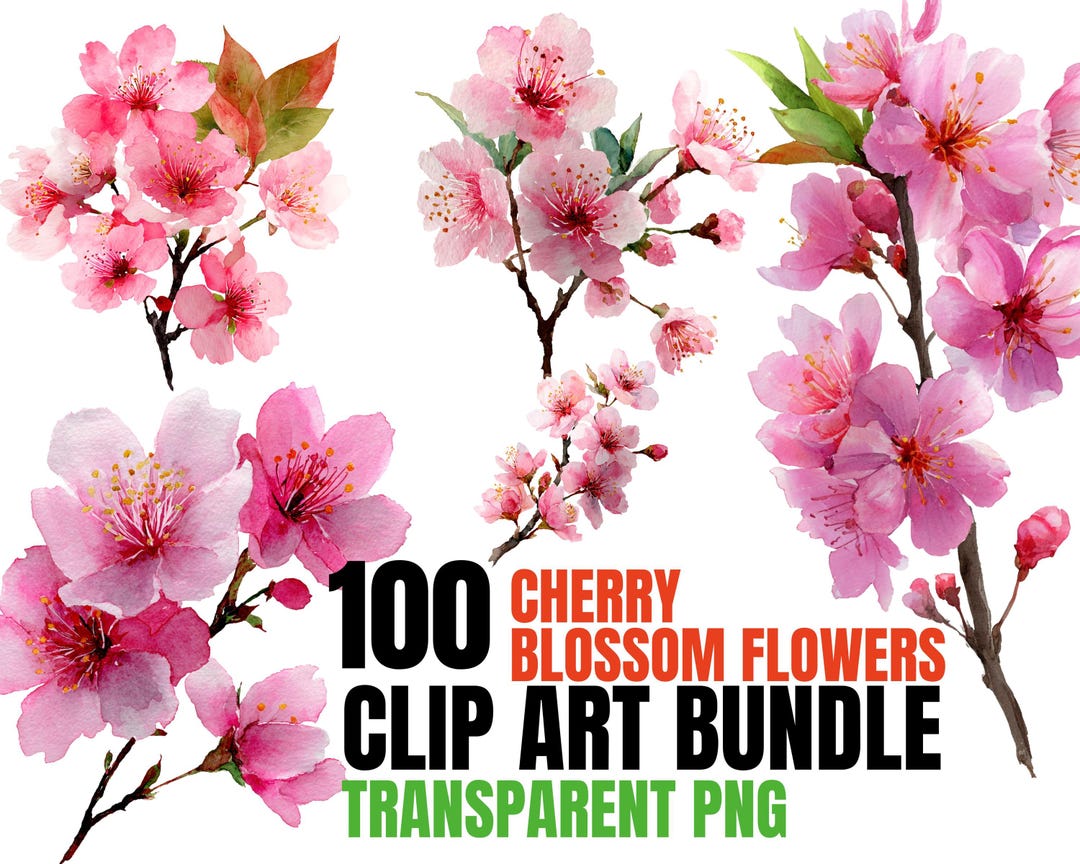 100 Cherry Blossom Flower Clip Art Bundle | Pink Sakura Watercolor Pngs ...