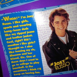 Vintage 1993 Tyco Blossom TV Show Joey Russo Doll Joey Lawrence MIP - Etsy