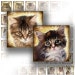 Scrabble Tile Digital Collage Sheet Cats Kittens 1x1 Inch Art Jewelry ...