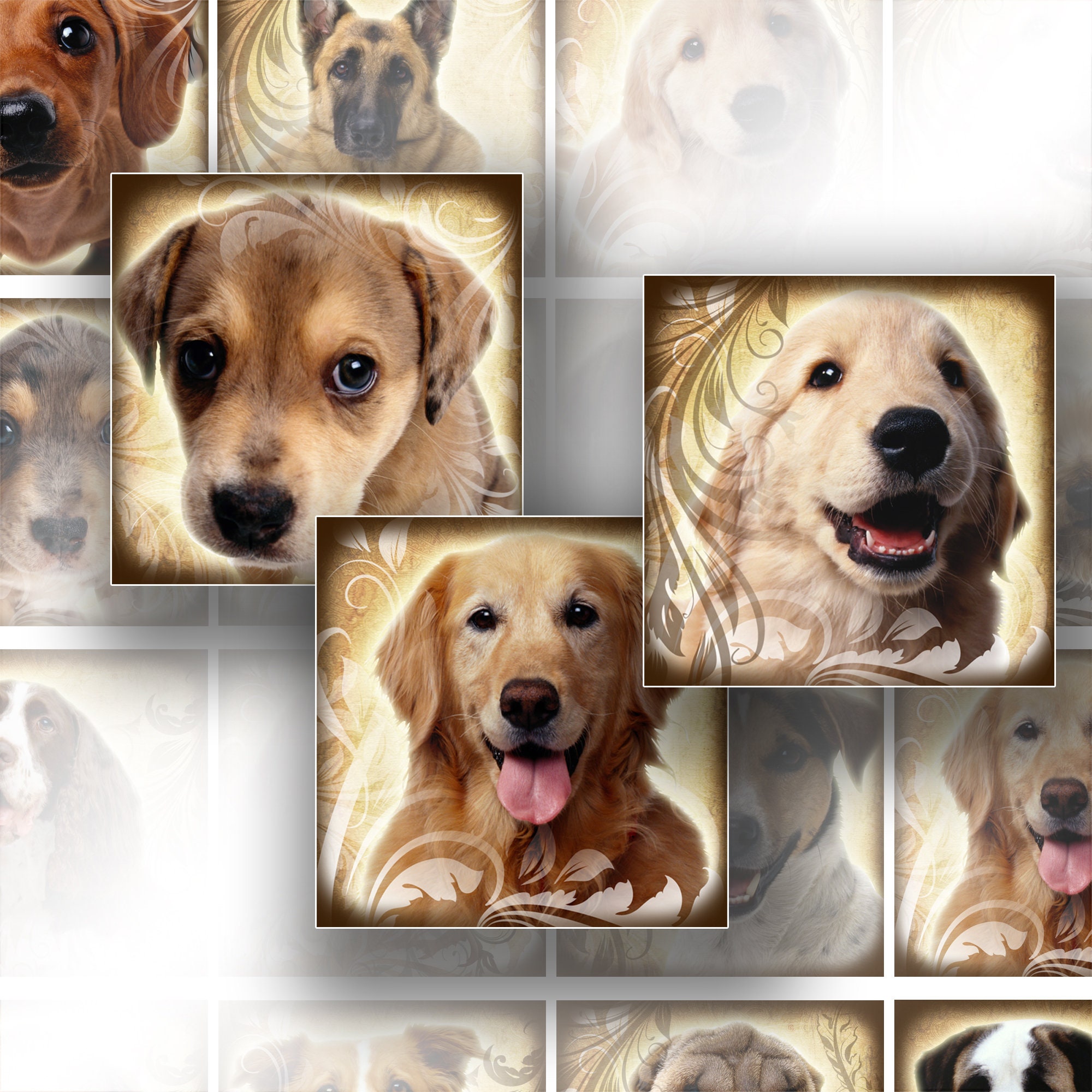 Digital Collage Sheet With Dogs and Puppies 2x2 Inches Squares Jewelry ...