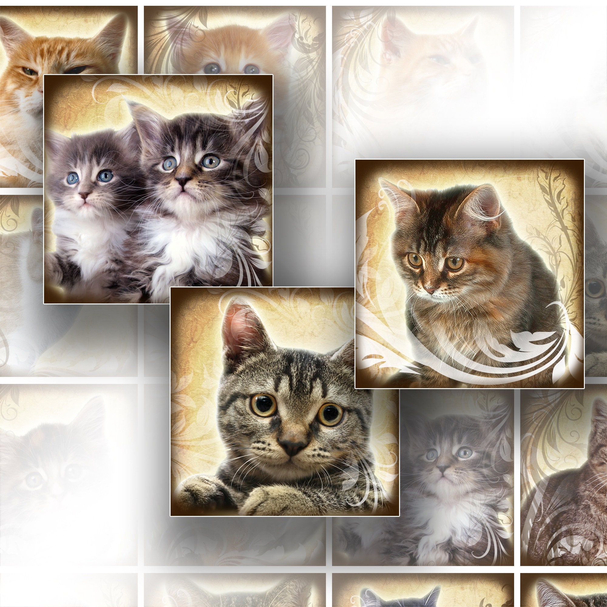 Digital Collage Sheet With Cats and Kittens 2x2 Inches Squares Jewelry ...