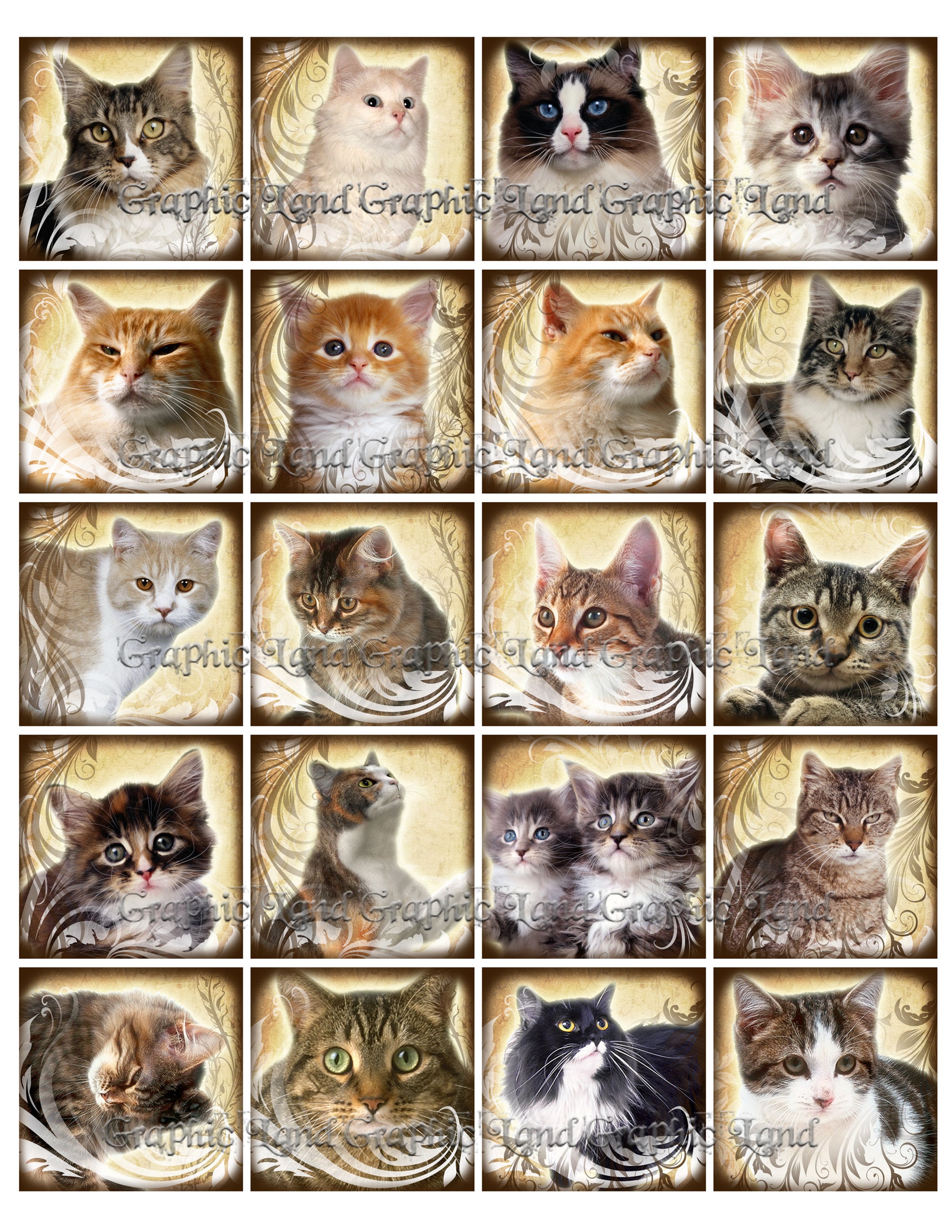 Digital Collage Sheet With Cats and Kittens 2x2 Inches Squares Jewelry ...