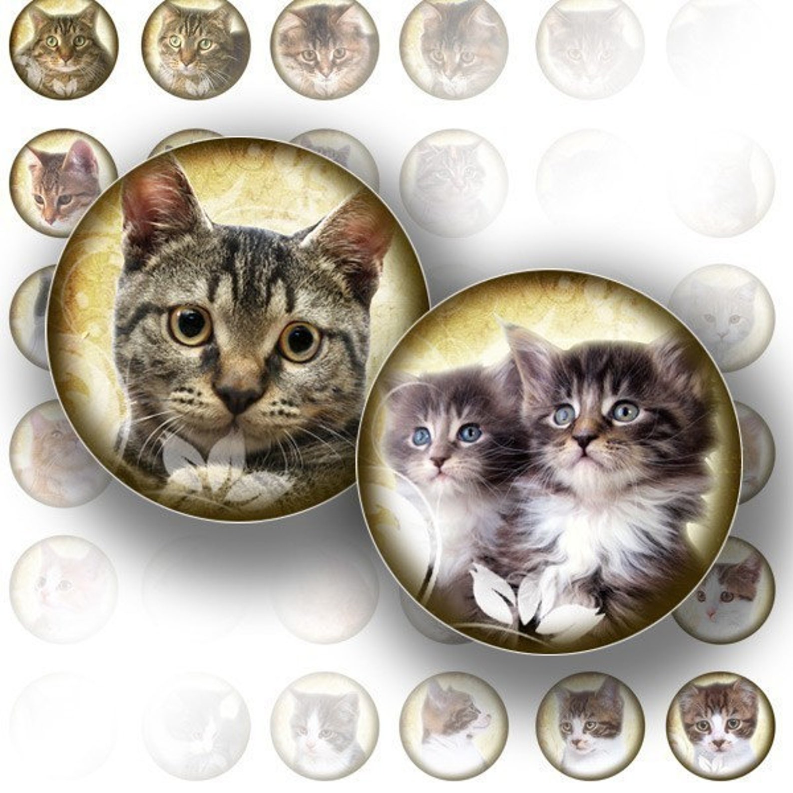 Rounds Cats and Kittens Digital Collage Sheets Download 1 Inch Circles ...