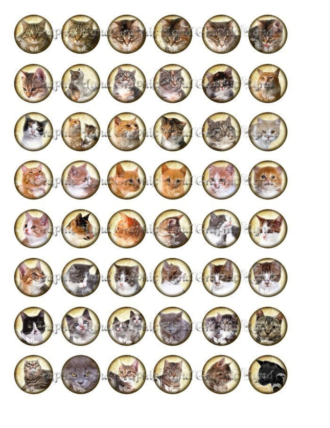 Rounds Cats and Kittens Digital Collage Sheets Download 1 Inch Circles ...