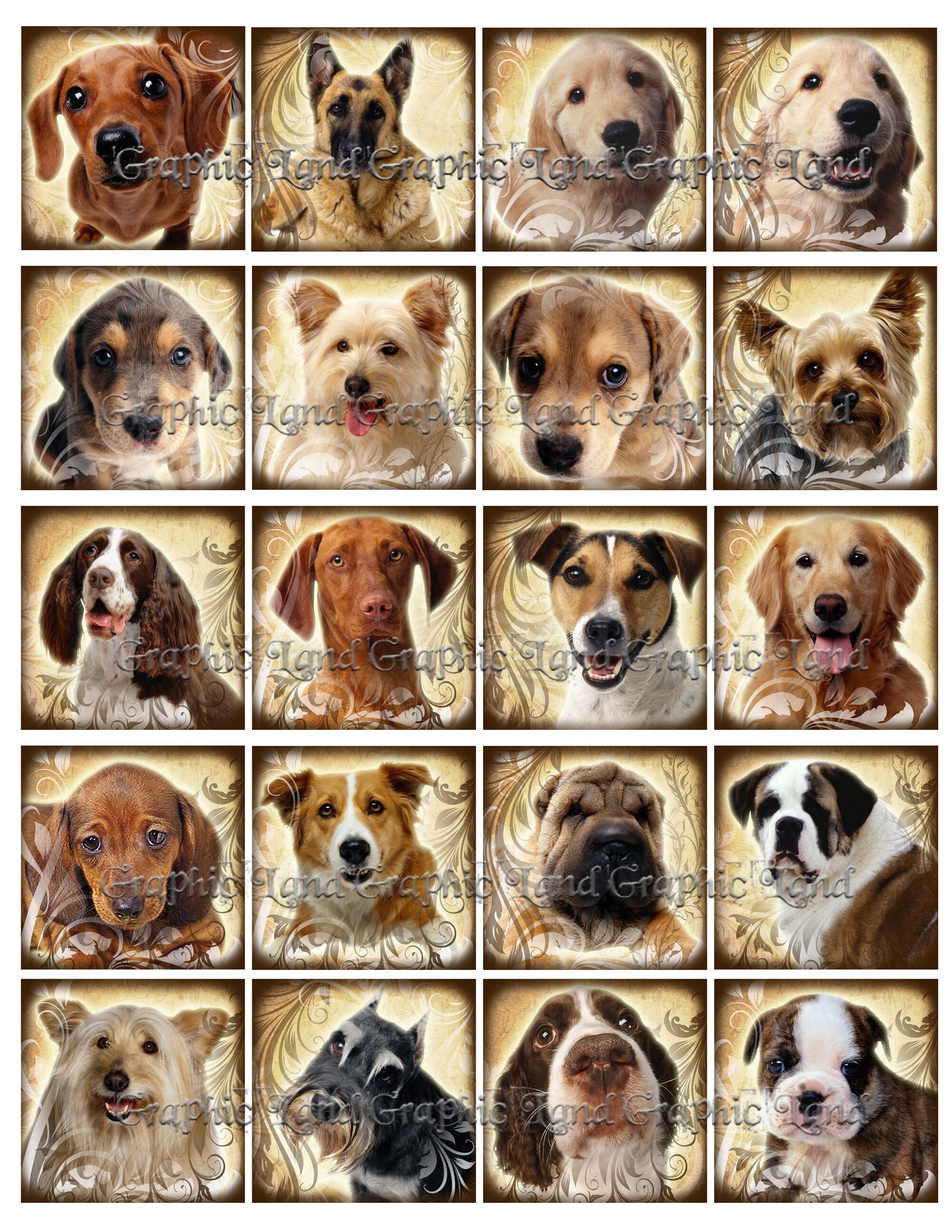 Digital Collage Sheet With Dogs and Puppies 2x2 Inches Squares Jewelry ...