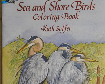 Bird Coloring Book | Etsy