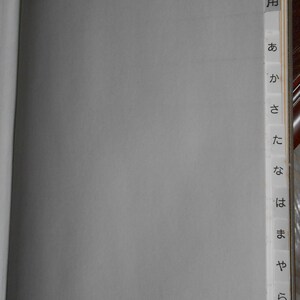 NEW Vintage Red Lacquer Japanese Photo Album and Address Book Set in ...