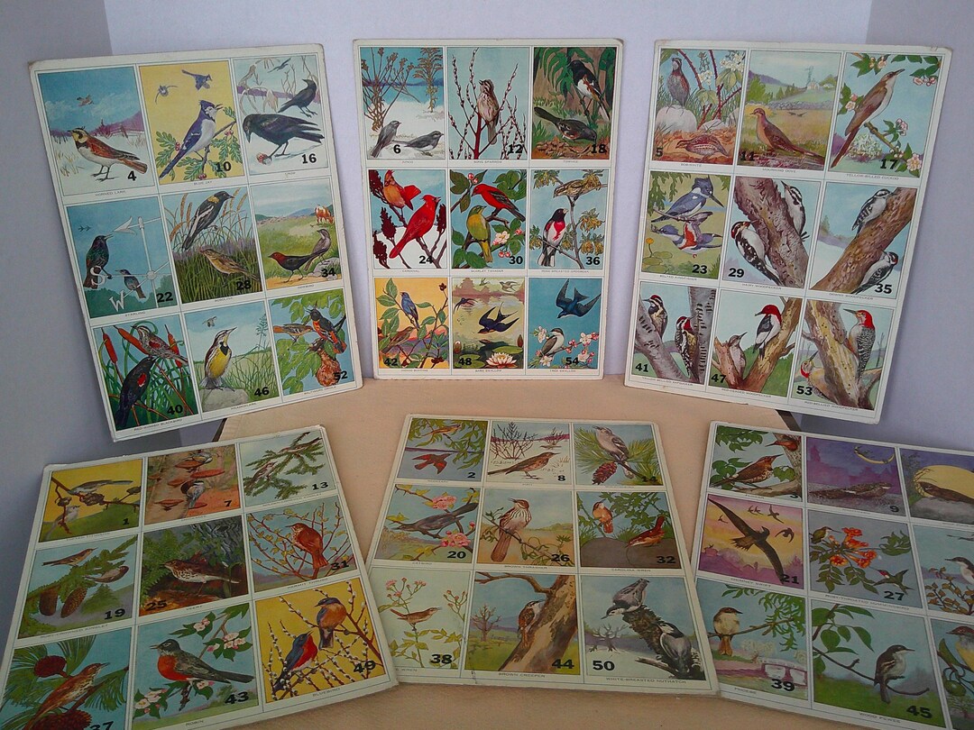 Complete Set 54 North American Birds Trading Cards, UNCUT, North ...