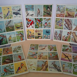 SimplyElegantVintage - Etsy