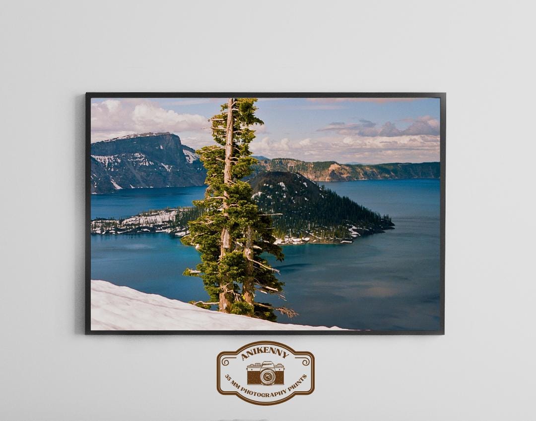 Crater Lake Tree Print, Oregon Wall Art, Landscape Photography, 35mm ...