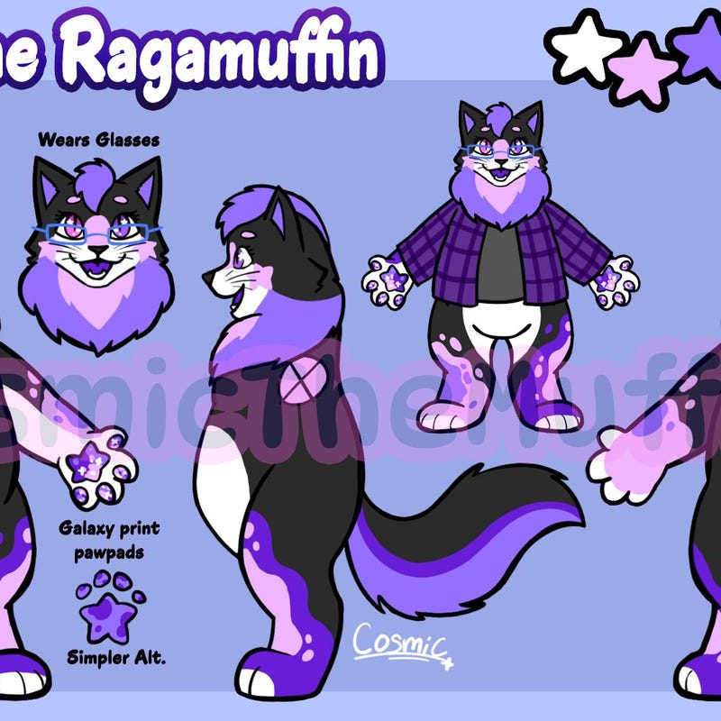 Furry Ref Sheet - Etsy