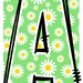 Daisy Alphabet Doodle Font Letters Floral Numbers PNG Daisy Flower ...