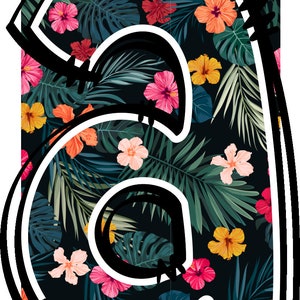 Summer Alphabet Doodle Font Letters Hawaiian Numbers PNG Tropical ...