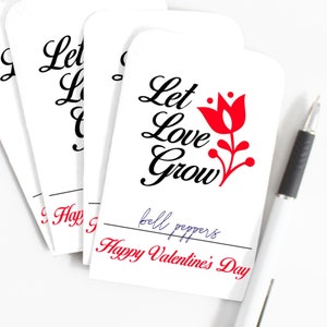 Printable Valentine's Day Seed Packages. Download and Print SVG Seed ...