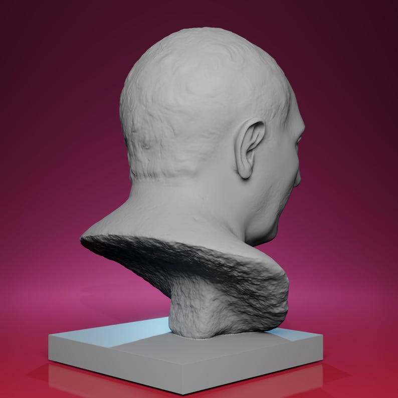 3D Printed Cicero Bust – Inspired by Antike Am Königsplatz in Munich - Etsy