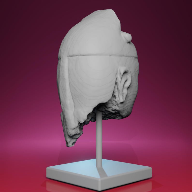 3D Printed Head of a Male Shinto Deity - Inspired by the Sainsbury ...