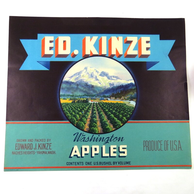 Washington Apple - Etsy