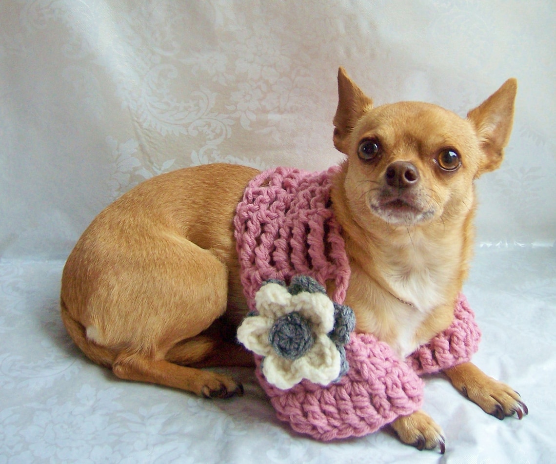 Crochet Shrug, Crochet Dog Sweater, Crochet for Dogs, Shrug With Flower ...