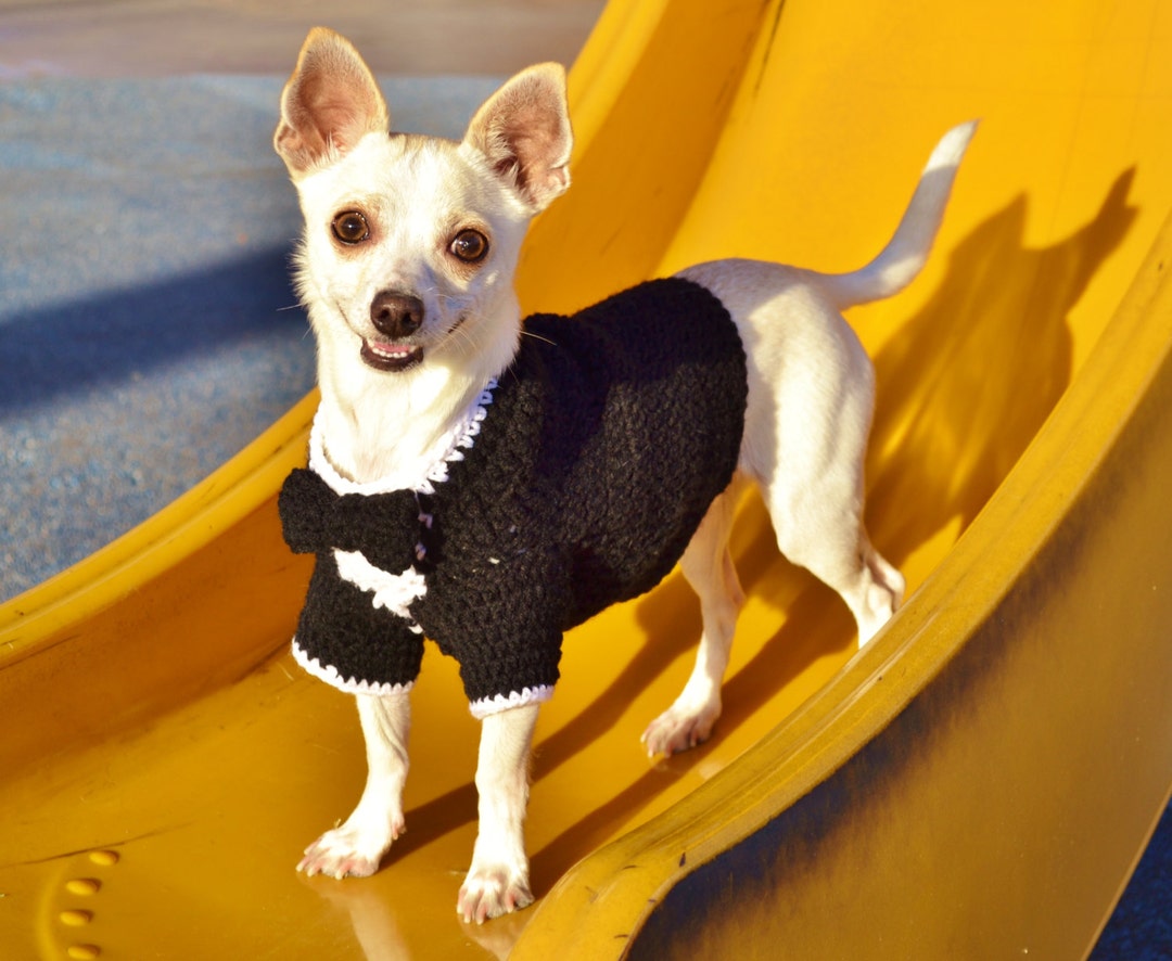 Wedding Tuxedo for Dogs, Tuxedo Dog Sweater, Crochet Tuxedo Sweater ...