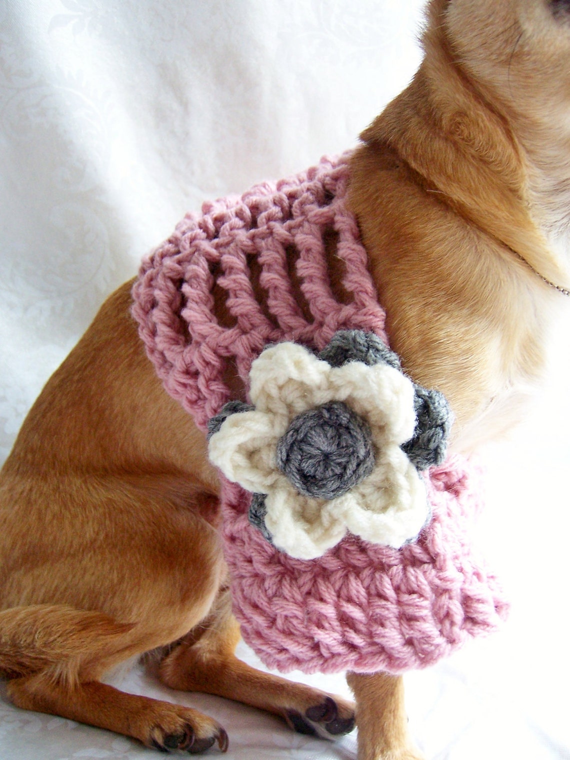 Crochet Shrug, Crochet Dog Sweater, Crochet for Dogs, Shrug With Flower ...