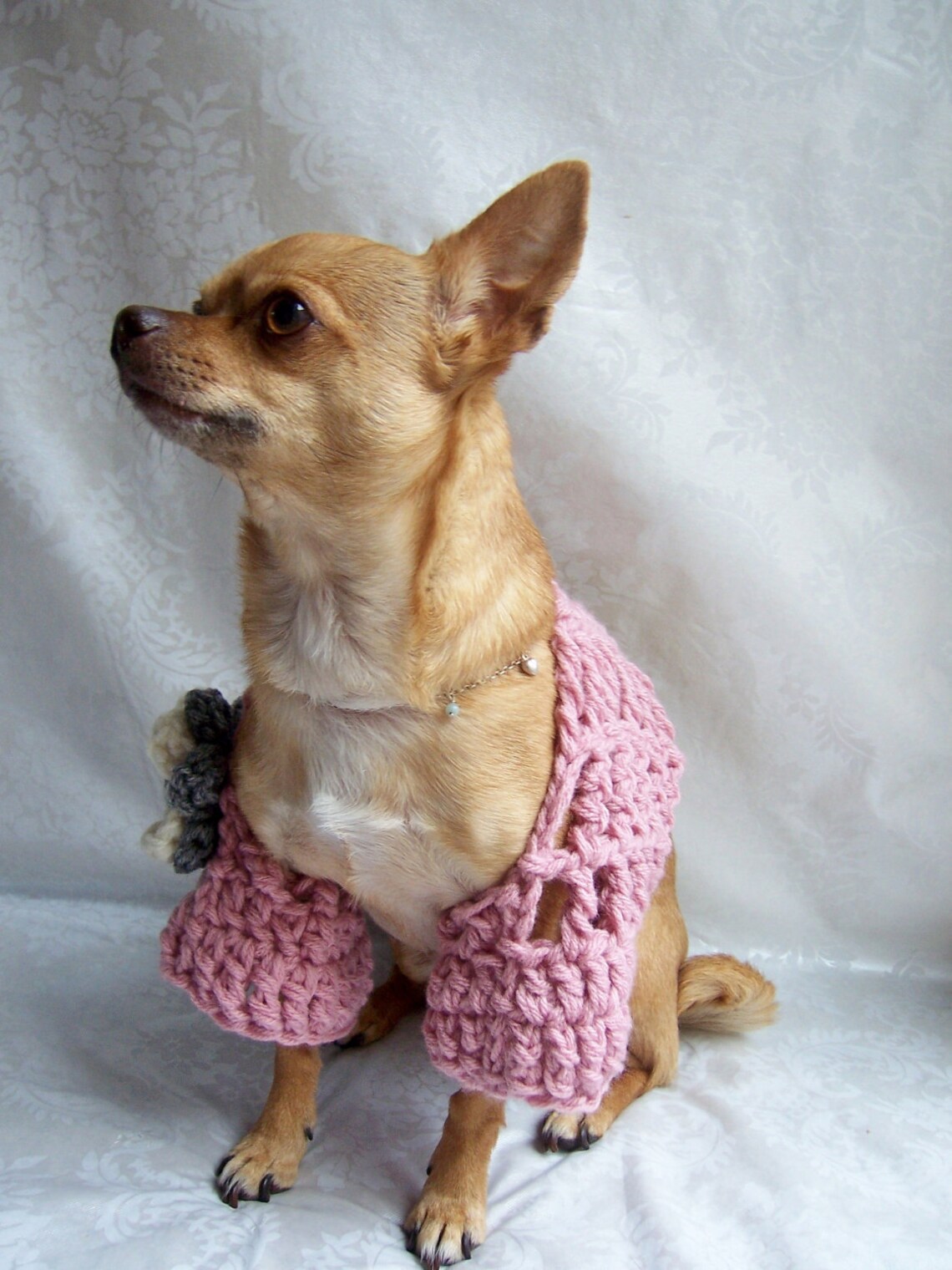 Crochet Shrug, Crochet Dog Sweater, Crochet for Dogs, Shrug With Flower ...
