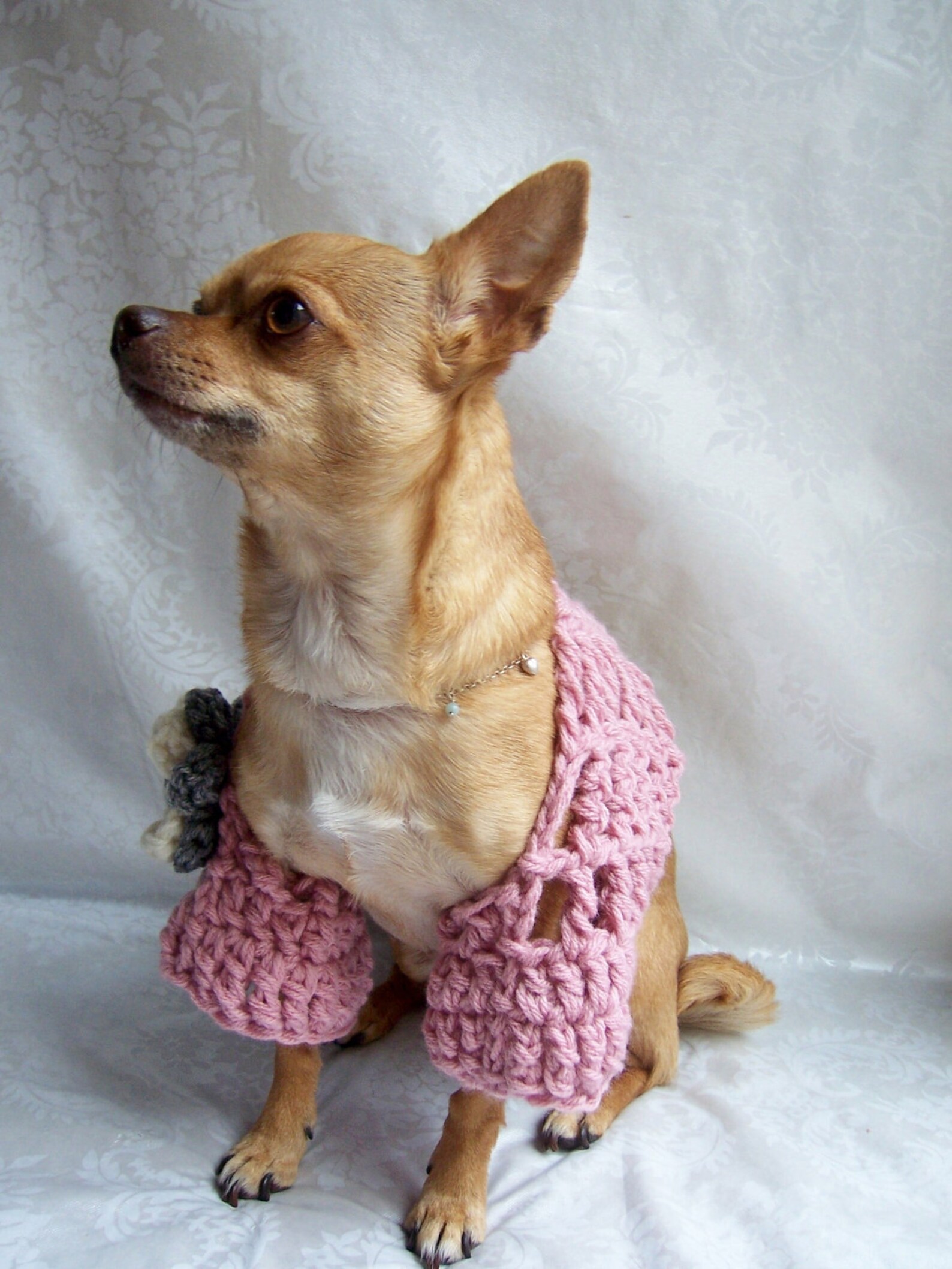 Crochet Shrug, Crochet Dog Sweater, Crochet for Dogs, Shrug With Flower ...