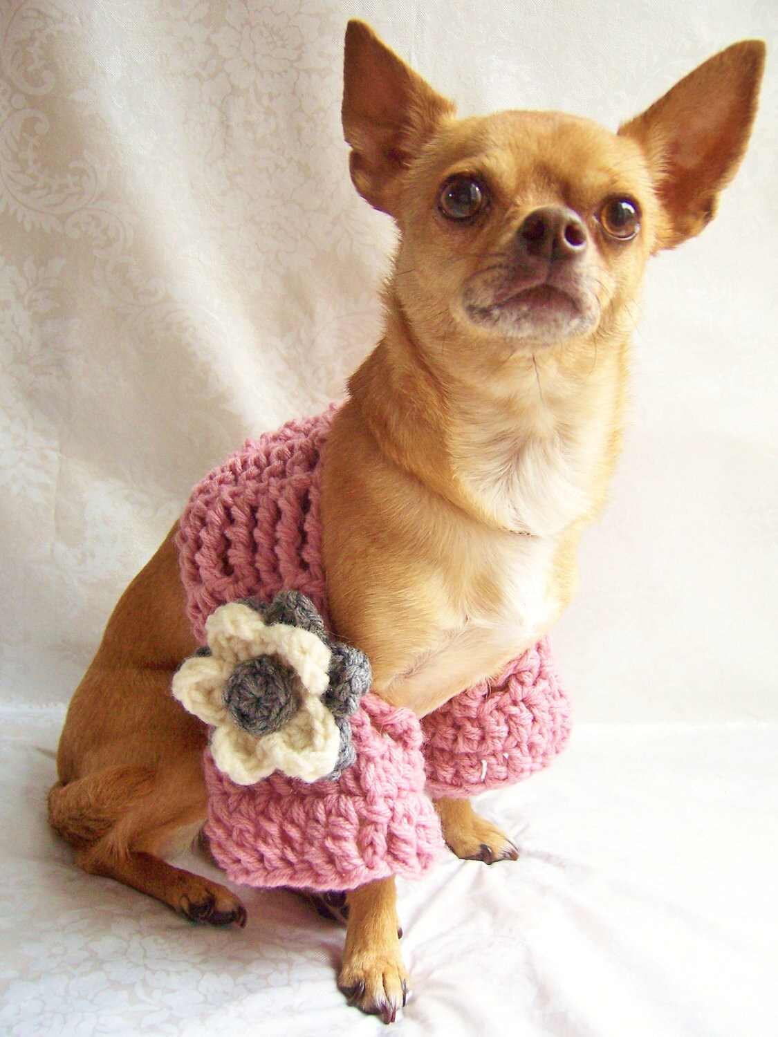 Crochet Shrug, Crochet Dog Sweater, Crochet for Dogs, Shrug With Flower ...