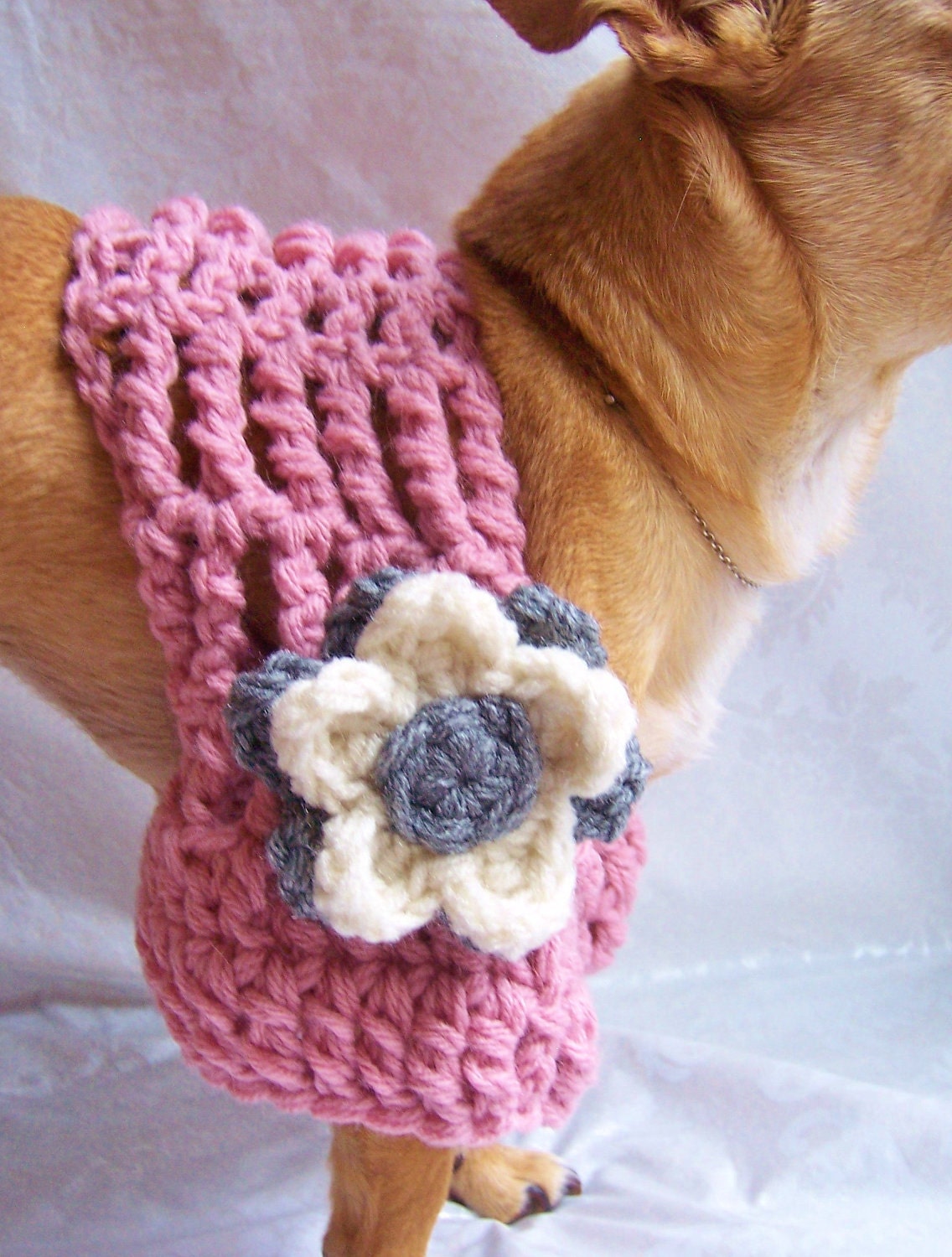 Crochet Shrug, Crochet Dog Sweater, Crochet for Dogs, Shrug With Flower ...