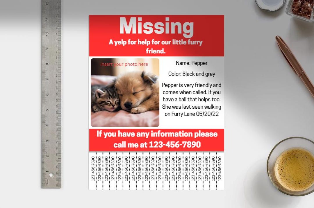 Completely Editable and Printable Missing Pet Poster - Etsy