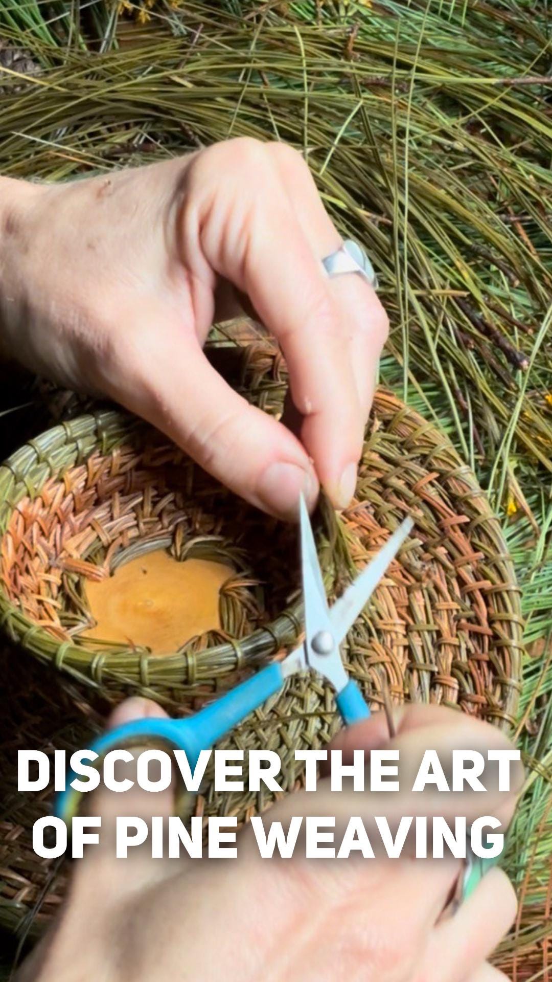 Pine Needle Basket Master Class – Unleash Your Creativity, Eco-friendly ...